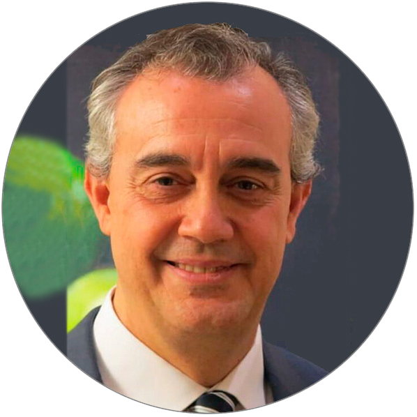 Félix Fernández-Shaw - Fundación Euroamerica