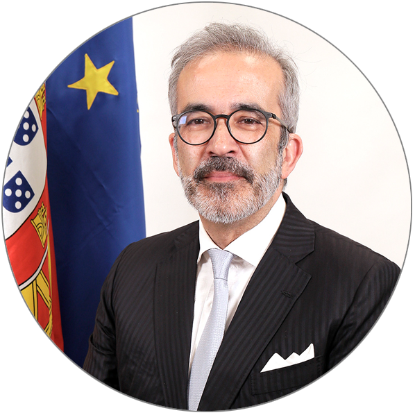 Paulo Rangel - Fundación Euroamerica